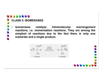 Lecture 1 - Enzymes-Intro. Kinetics.PPT