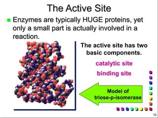 Lecture 1 - Enzymes-Intro. Kinetics.PPT