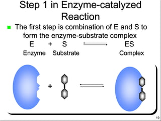 Lecture 1 - Enzymes-Intro. Kinetics.PPT