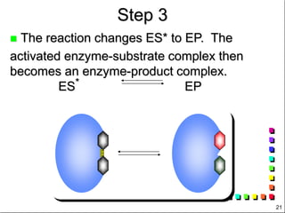 Lecture 1 - Enzymes-Intro. Kinetics.PPT