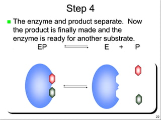 Lecture 1 - Enzymes-Intro. Kinetics.PPT