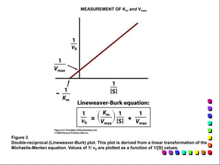 Lecture 1 - Enzymes-Intro. Kinetics.PPT