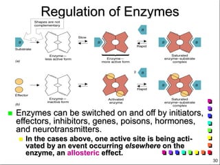 Lecture 1 - Enzymes-Intro. Kinetics.PPT