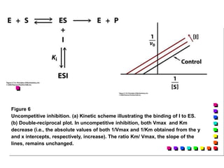 Lecture 1 - Enzymes-Intro. Kinetics.PPT