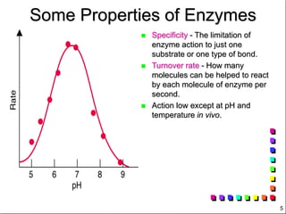 Lecture 1 - Enzymes-Intro. Kinetics.PPT