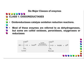 Lecture 1 - Enzymes-Intro. Kinetics.PPT