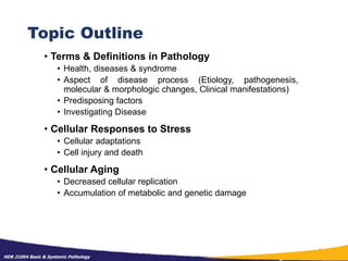 Lecture 1 - General Path.ppt