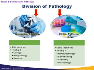 Lecture 1 - General Path.ppt