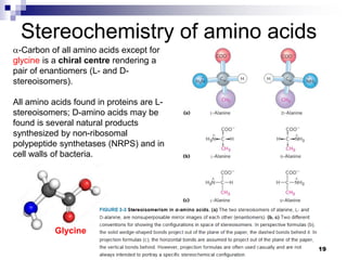 Lecture 1 - General Properties of Amino Acids(2) (1).pdf