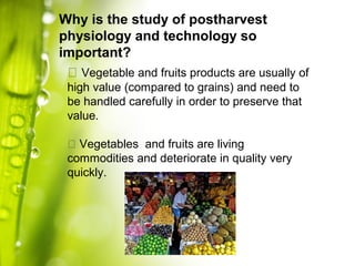 Lecture 1: Importance of Postharvest Technology | PPT