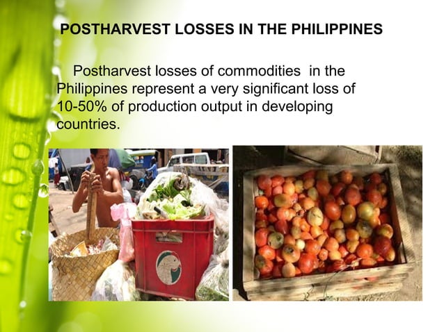 Lecture 1: Importance of Postharvest Technology | PPT
