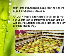 Lecture 1: Importance of Postharvest Technology | PPT