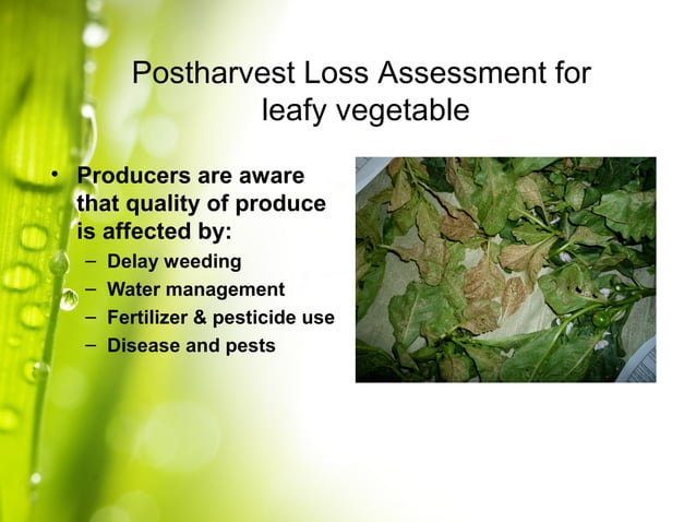 Lecture 1: Importance of Postharvest Technology | PPT