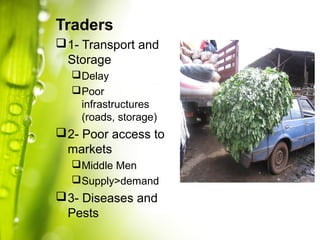 Lecture 1: Importance of Postharvest Technology | PPT
