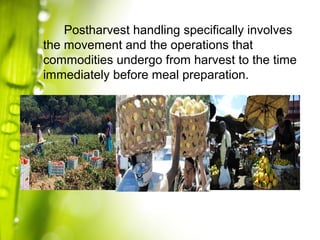 Lecture 1: Importance of Postharvest Technology | PPT