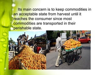 Lecture 1: Importance of Postharvest Technology | PPT