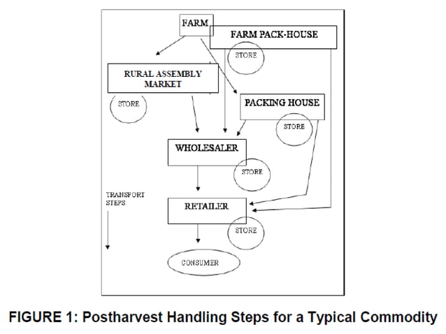 Lecture 1: Importance of Postharvest Technology | PPT