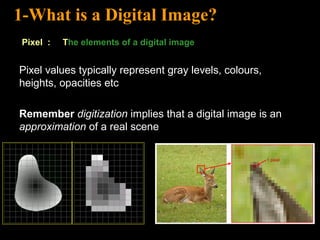 Lecture 1 introduction | PPT