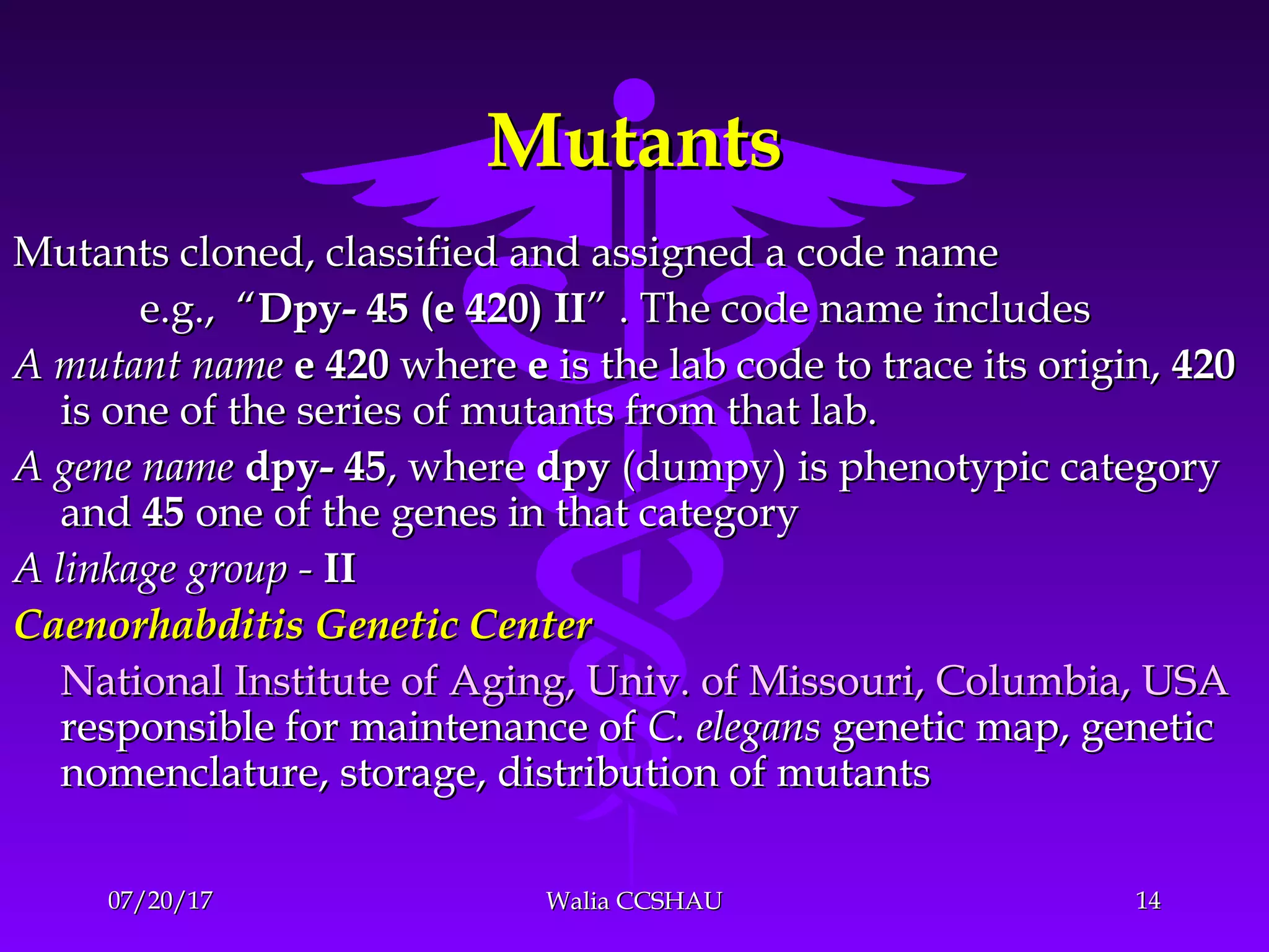 Nematology complete lectures | PPS