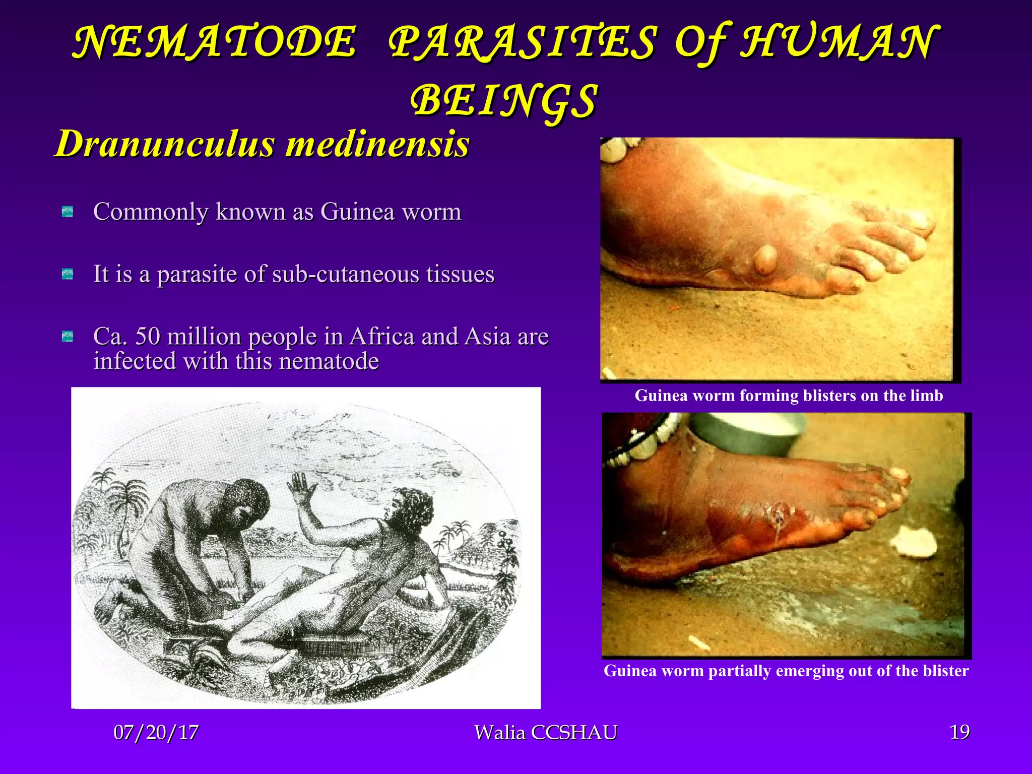 Nematology complete lectures | PPS