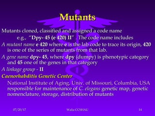 Nematology complete lectures | PPS