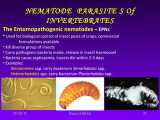 Nematology complete lectures | PPS