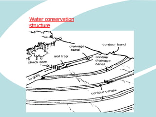 LECTURE 1- Introduction.pptx