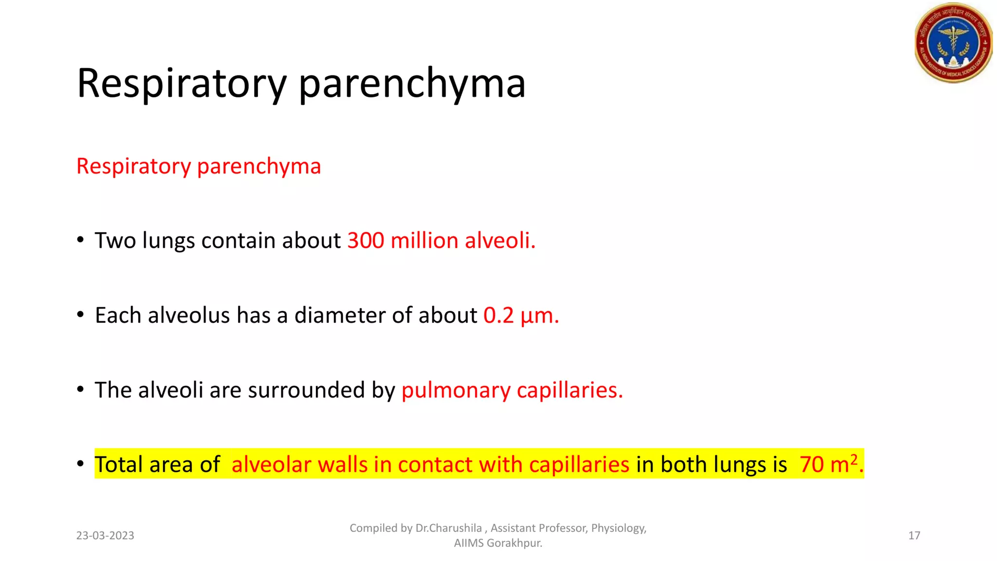 lecture 1/2023 -Respiratory Physiology - Introduction of respiratory system.pdf | Lung and ...
