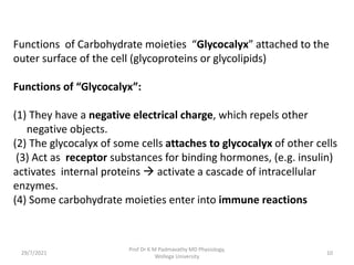 Lecture 1 - Introduction & Organization.pdf