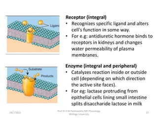 Lecture 1 - Introduction & Organization.pdf