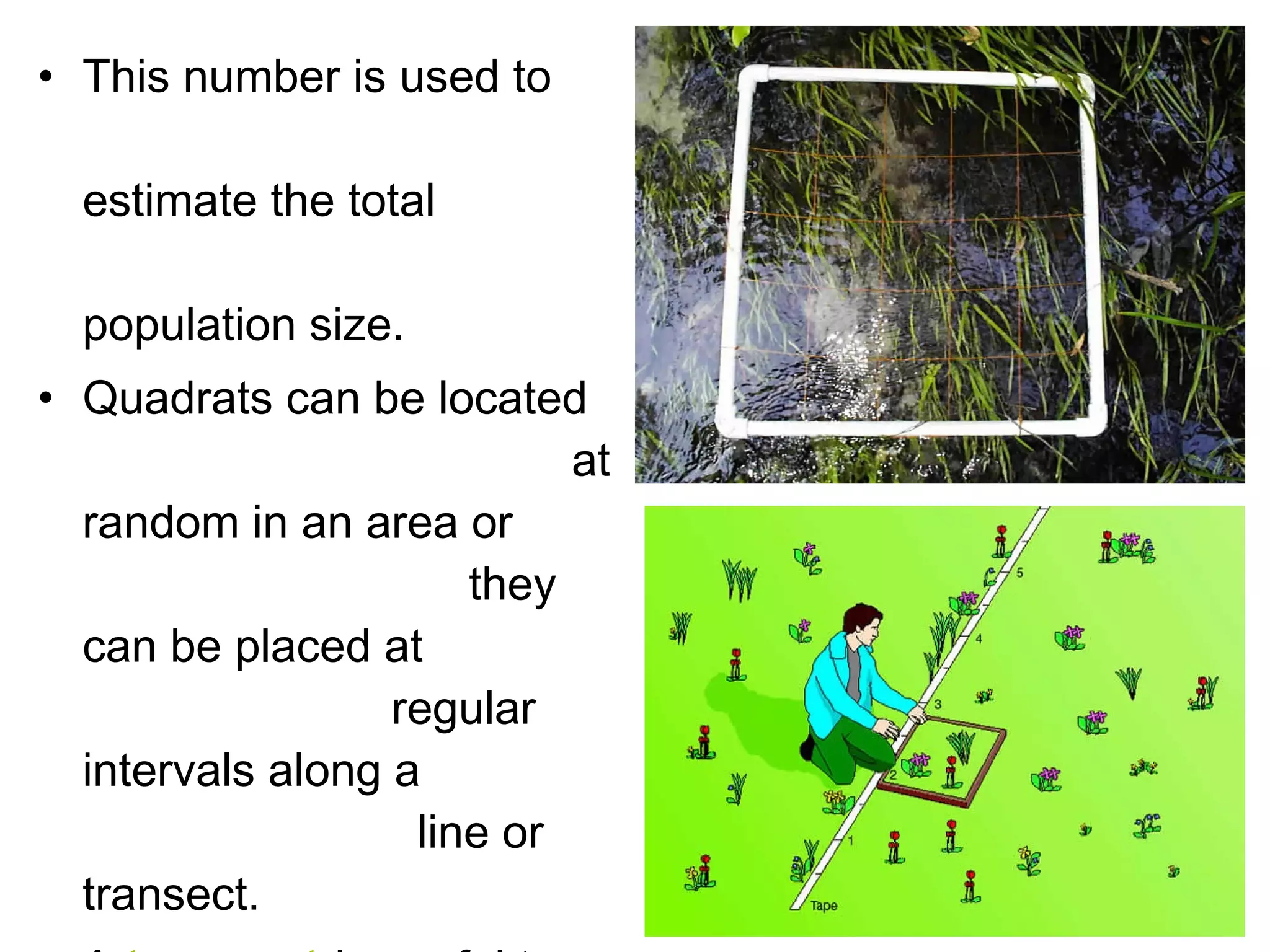 Lecture 1 introduction & populations | PPT