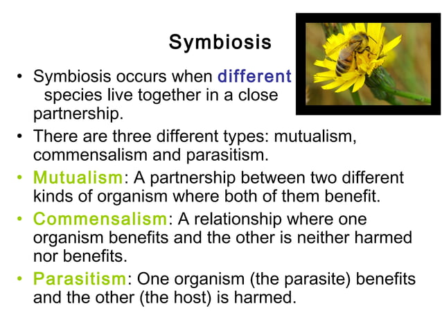 Lecture 1 introduction & populations | PPT