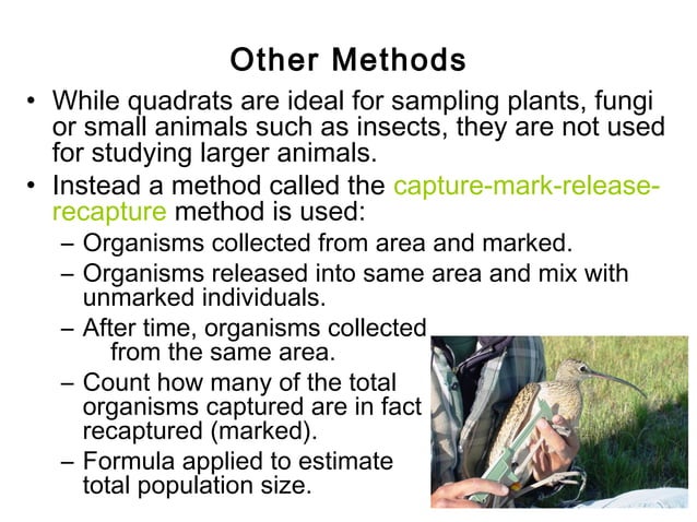 Lecture 1 introduction & populations | PPT