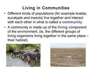 Lecture 1 introduction & populations | PPT