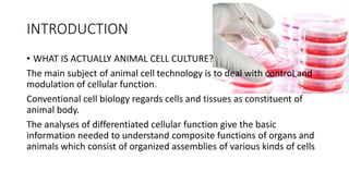 Lecture 1 Introduction to animal cell technology | PPT