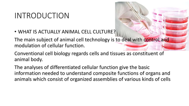 Lecture 1 Introduction to animal cell technology | PPT