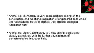 Lecture 1 Introduction to animal cell technology | PPT