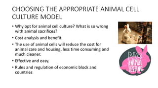 Lecture 1 Introduction to animal cell technology | PPT