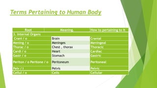 Lecture 1 introduction to medical terminology | PPTX
