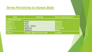 Lecture 1 introduction to medical terminology | PPTX