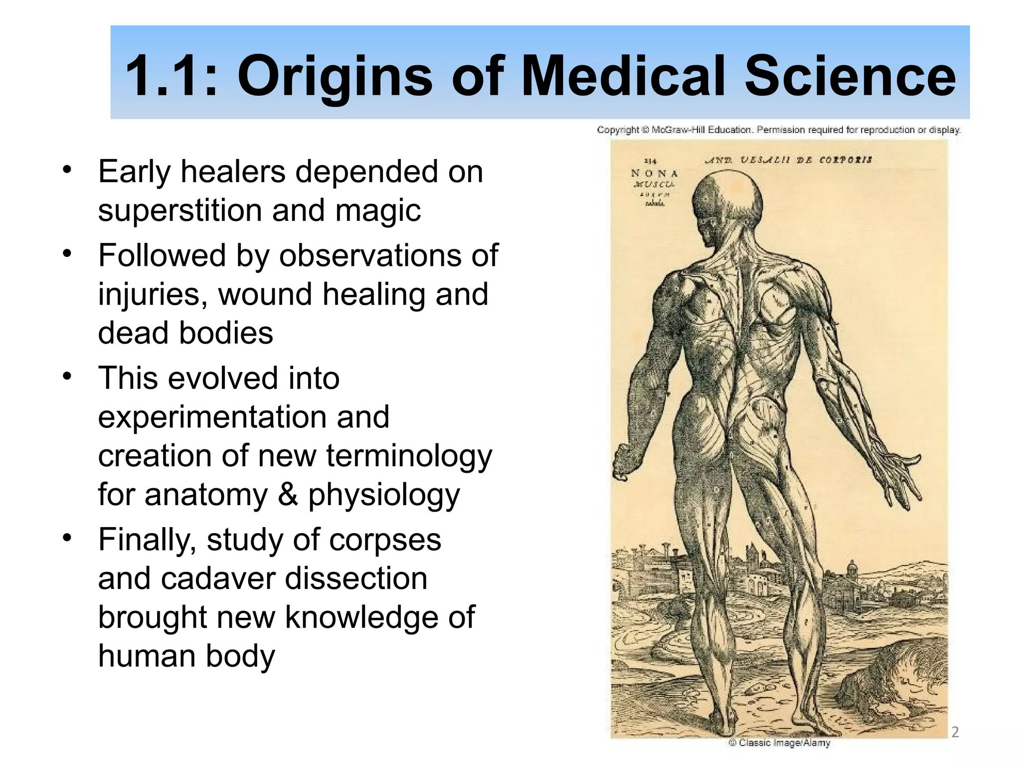 Lecture 1-Introduction to Physiology.pdf | Lung and Respiratory Health ...