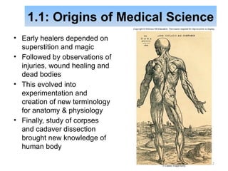 Lecture 1-Introduction to Physiology.pdf | Lung and Respiratory Health ...