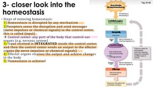 Lecture 1- Introduction to physiology.pdf