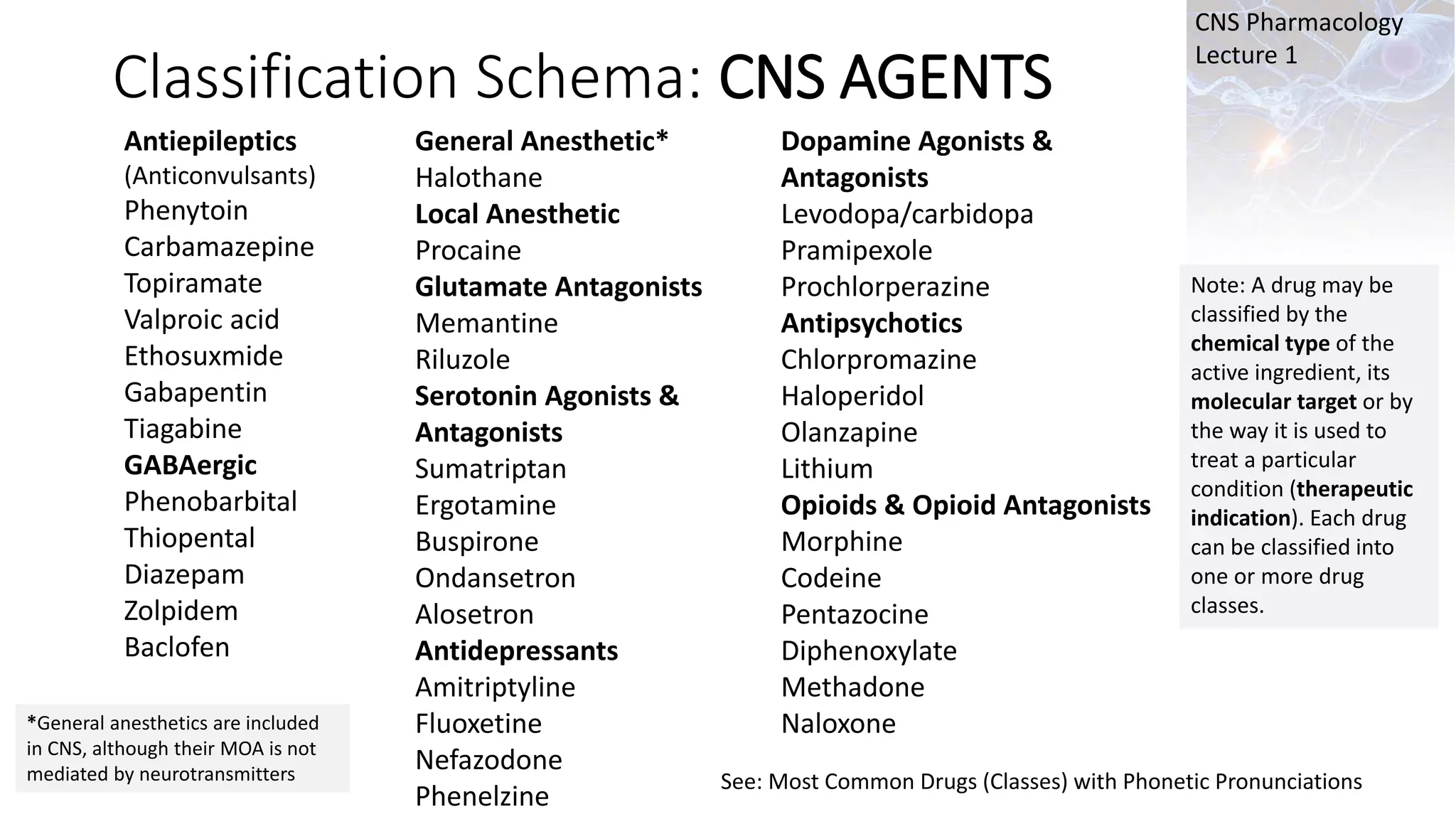 Lect.1 Introduction to CNS and Drug Action | PDF