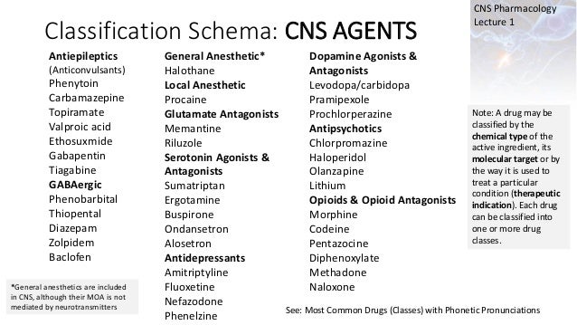 Lect.1 Introduction to CNS and Drug Action