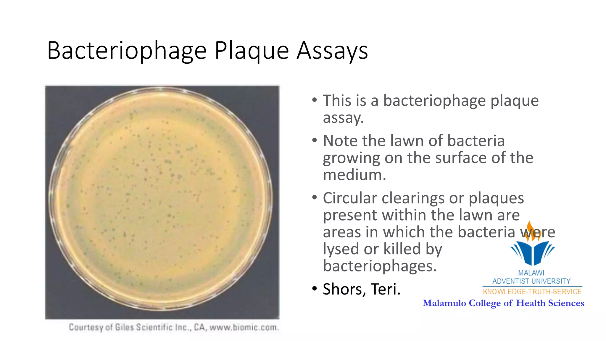 Lecture 1 - Introduction To Virology.pptx