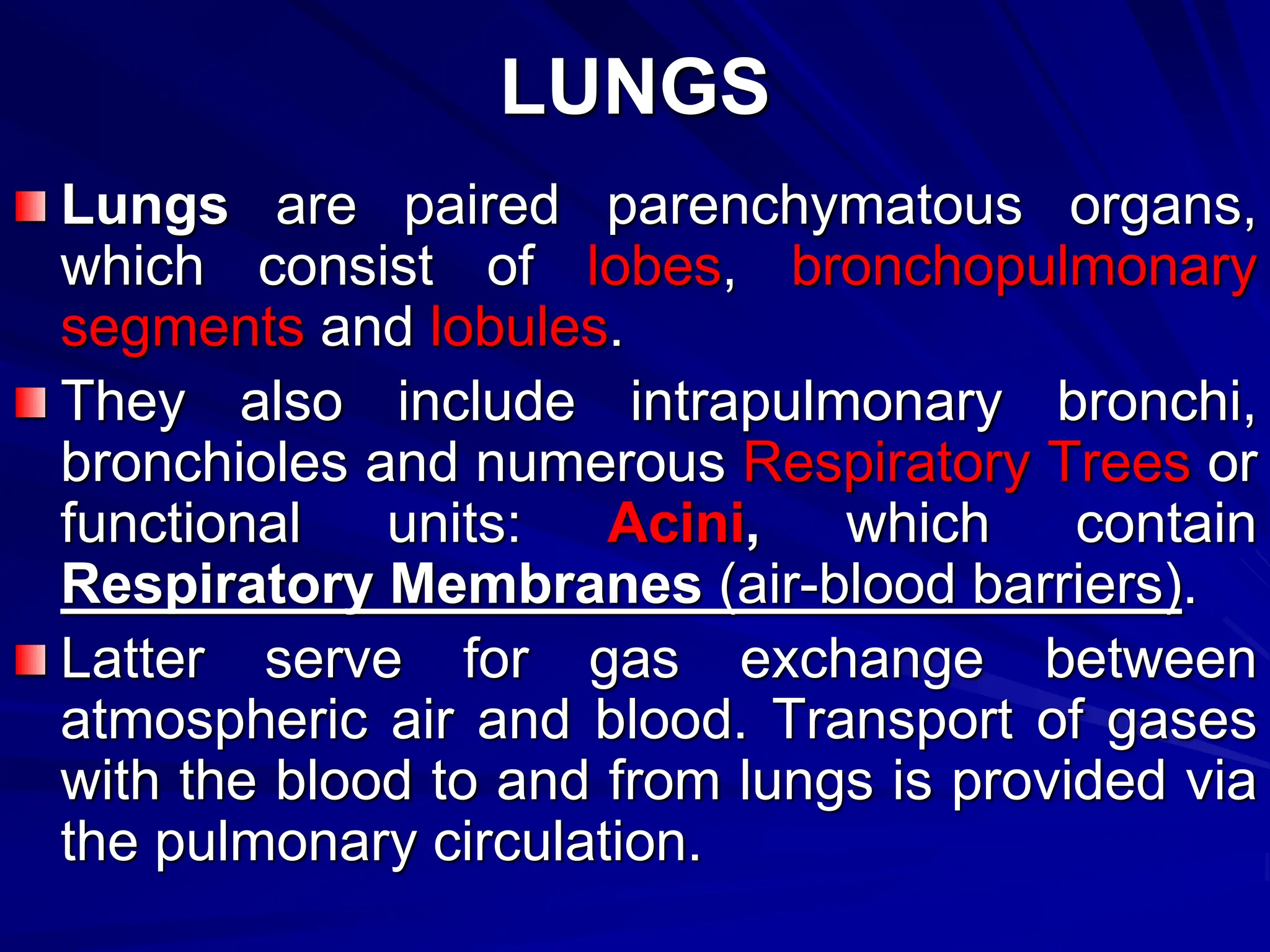 Introduction to the Respiratory system and basic anatomy and physiology ...