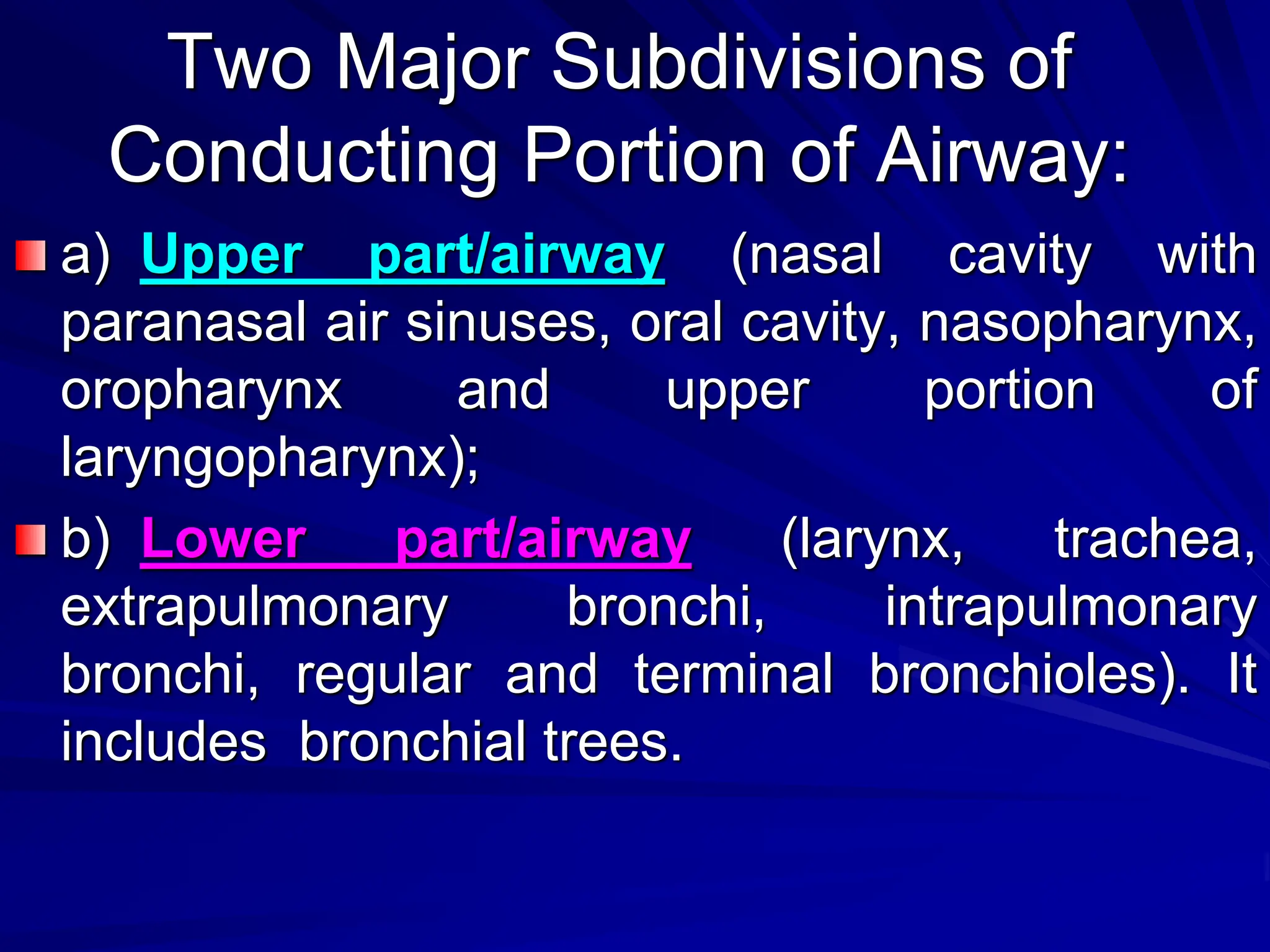 Introduction to the Respiratory system and basic anatomy and physiology ...