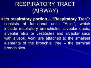 Introduction to the Respiratory system and basic anatomy and physiology ...