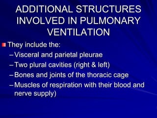 Introduction to the Respiratory system and basic anatomy and physiology ...